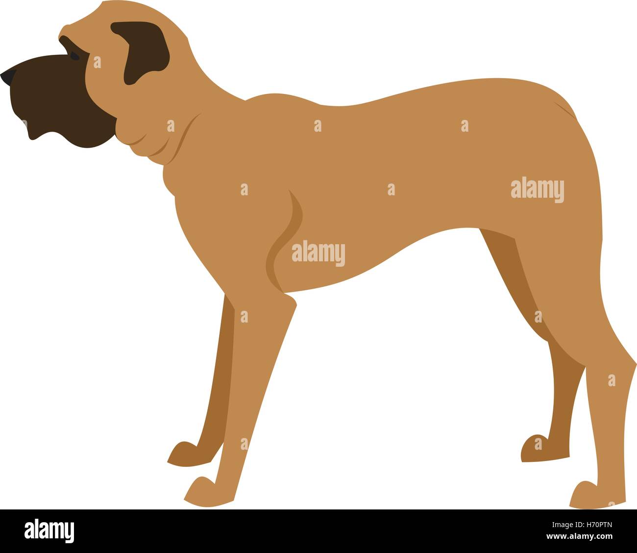 English mastiff breed dog and animal portrait, purebred pet, vector ...
