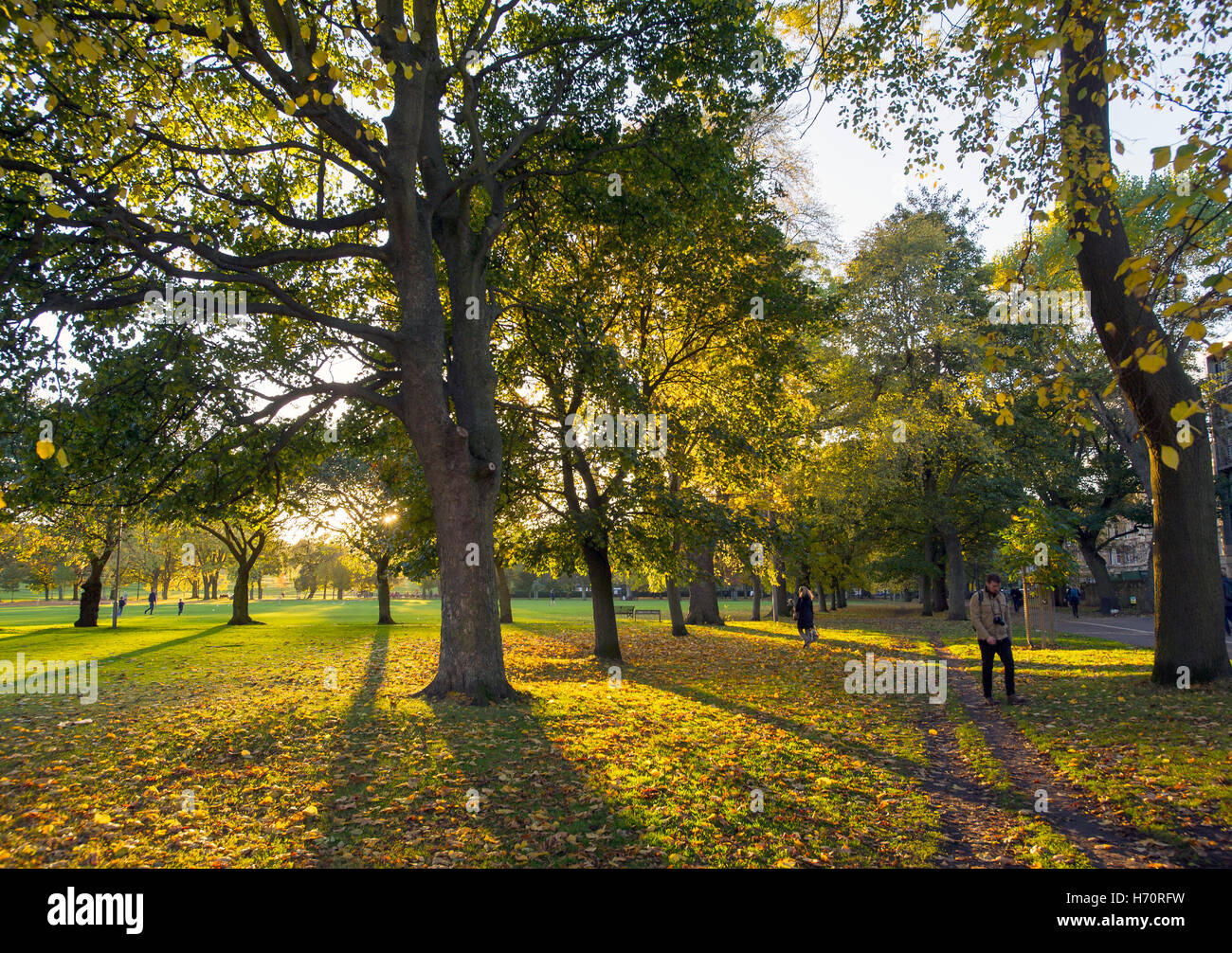 The Meadows, Edinburgh, Scotland. The low autumn sunlight casts long ...