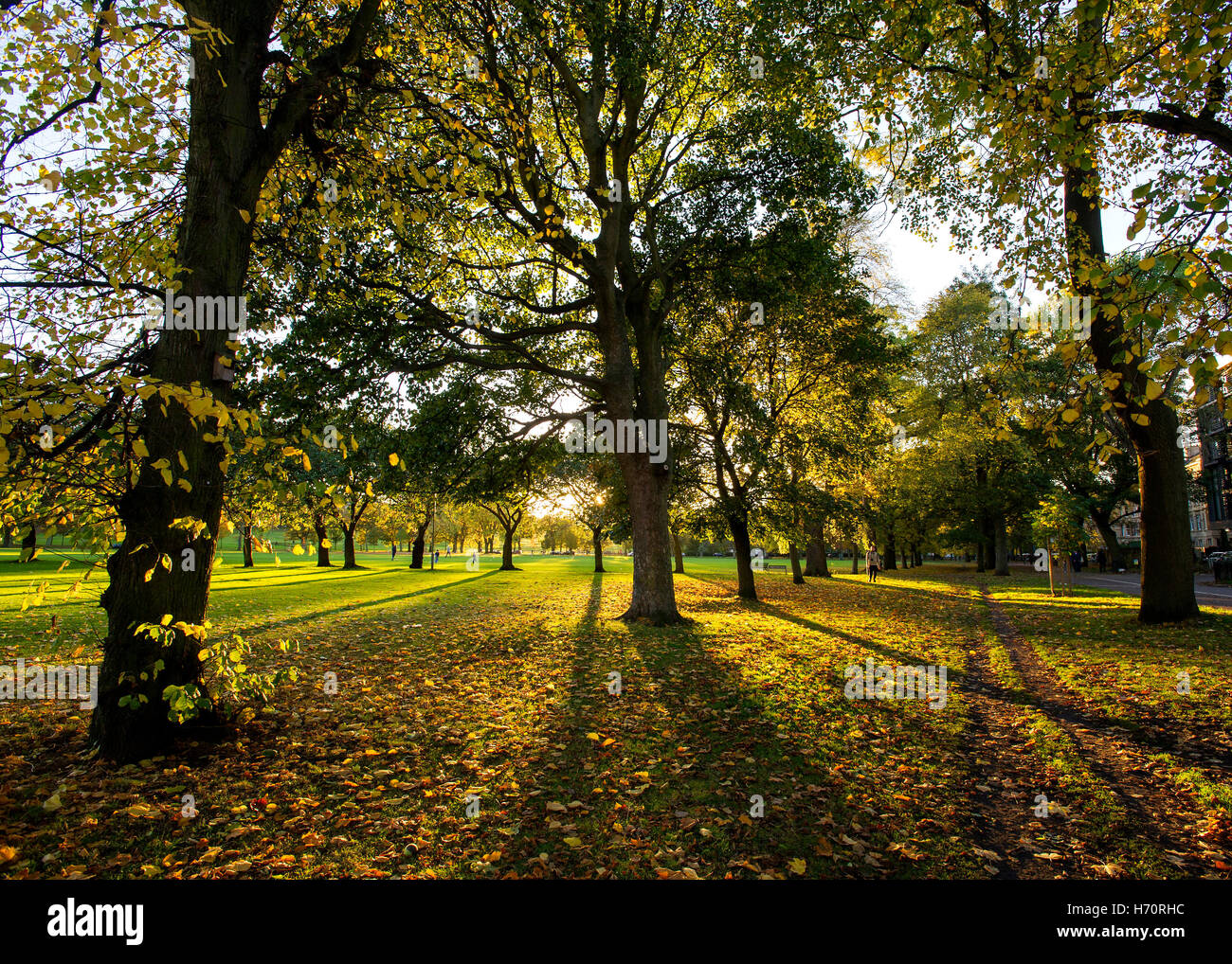 Meadows park edinburgh winter hi-res stock photography and images - Alamy