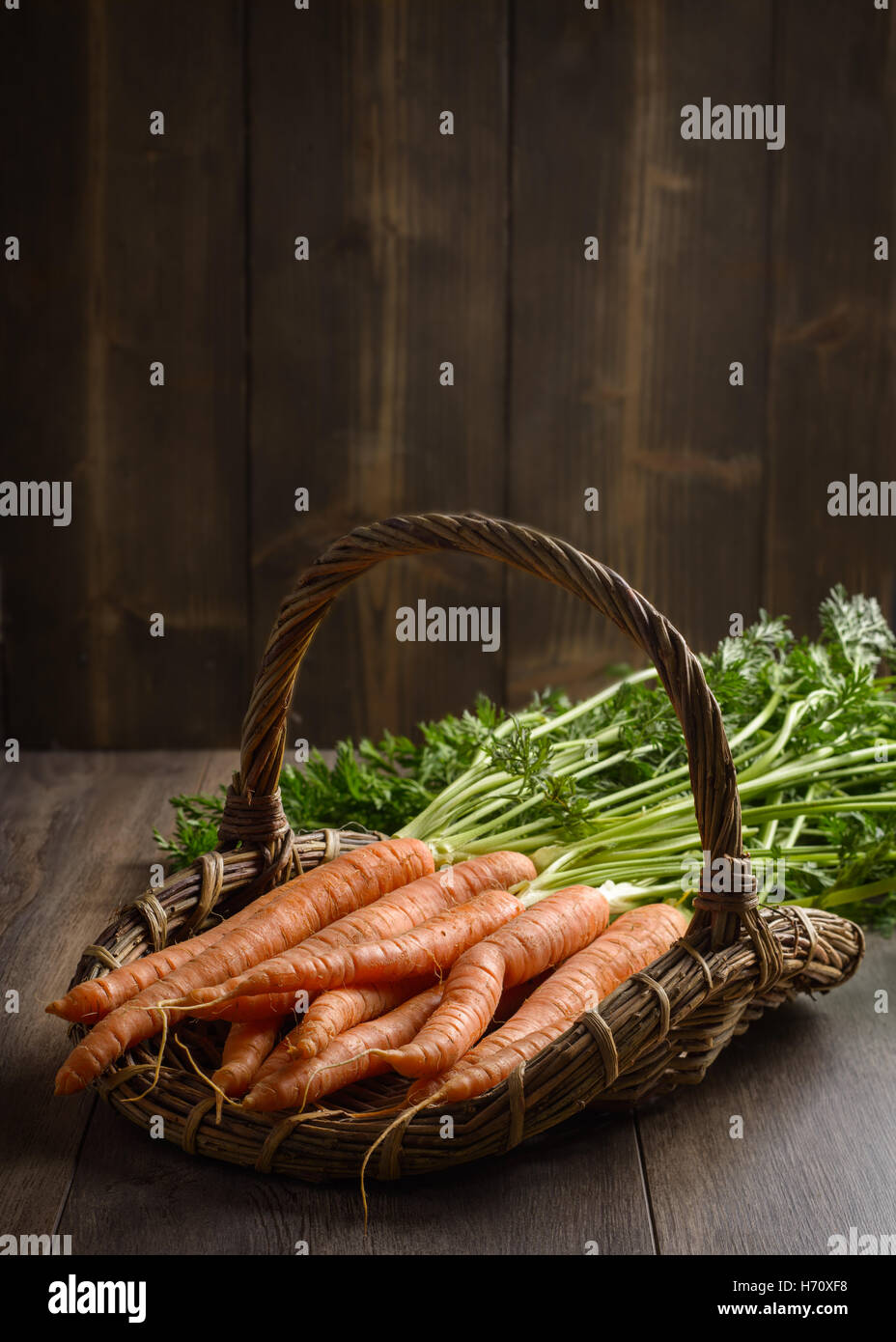 Basket of freshly dug dirty carrots Stock Photo - Alamy
