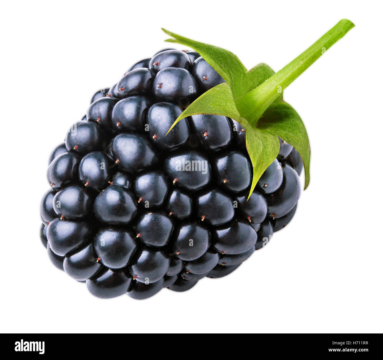 fresh blackberry isolated on white background Stock Photo - Alamy
