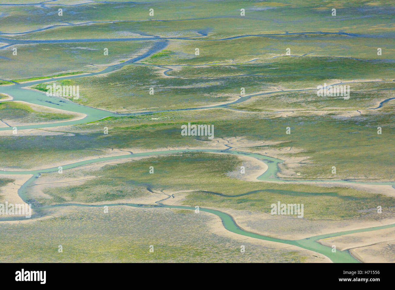 Intertidal flats hi-res stock photography and images - Alamy