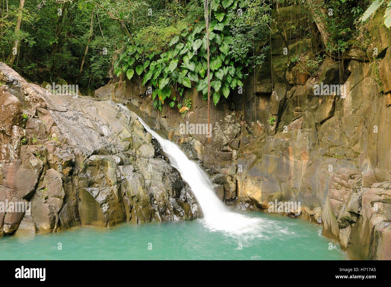 Caribbean waterfall jungle High Resolution Stock Photography and Images ...