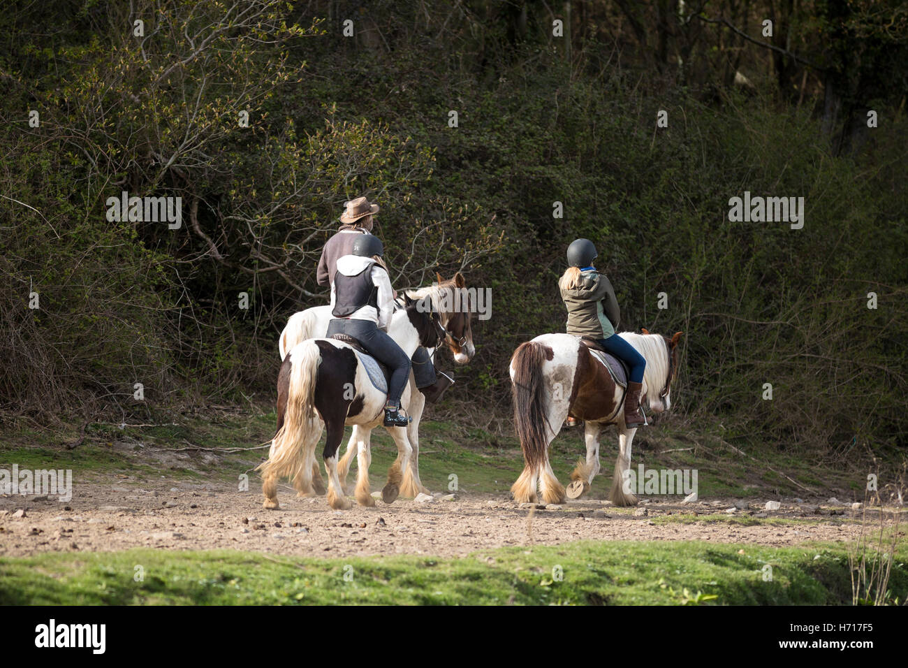 Pony trekking children hi-res stock photography and images - Alamy