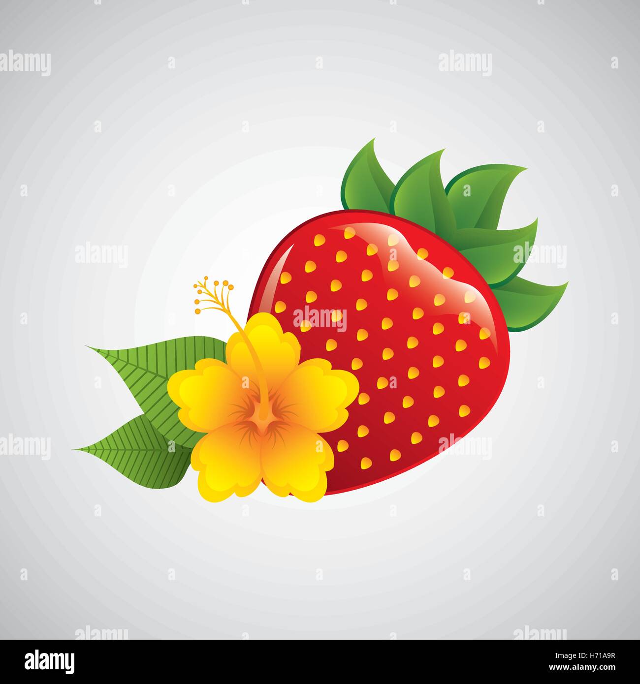White blooming strawberry plant Stock Vector Images - Alamy