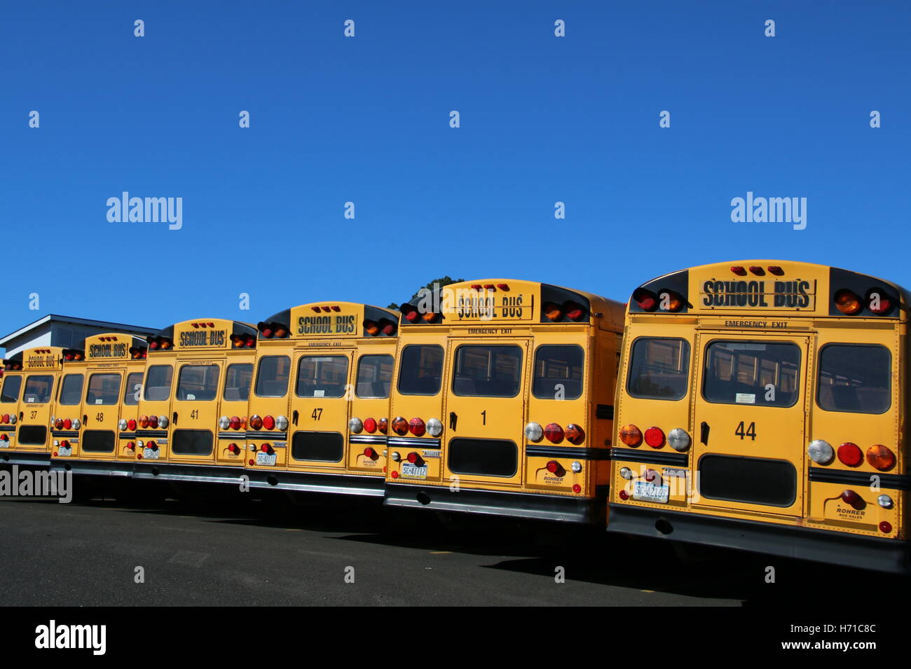 Buses in a row hi-res stock photography and images - Alamy