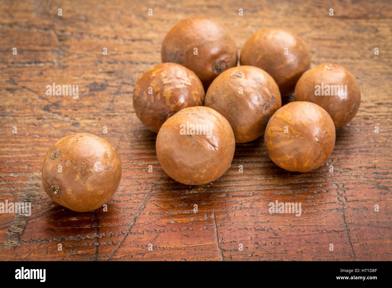 macadamia nuts in shells on a rustic grunge wood Stock Photo - Alamy
