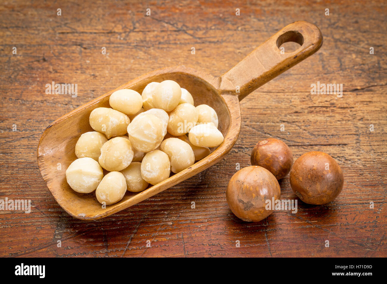 scoop of shelled macadamia nuts on rustic grunge wood wood with a few nuts in shells Stock Photo ...