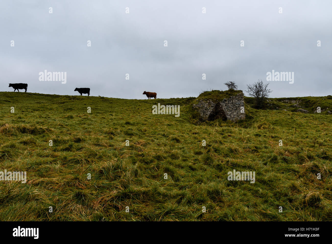 Draycott hi-res stock photography and images - Alamy