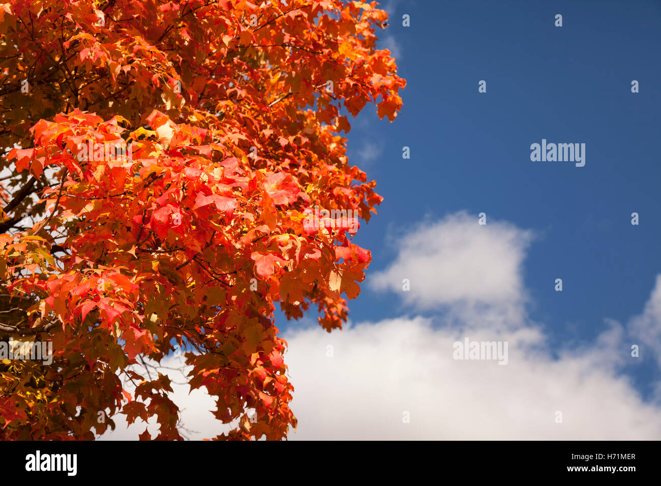 Blue sky and colors hi-res stock photography and images - Alamy
