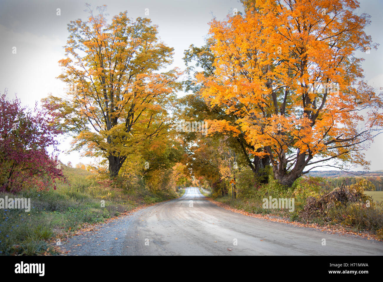 Fall season road hi-res stock photography and images - Alamy