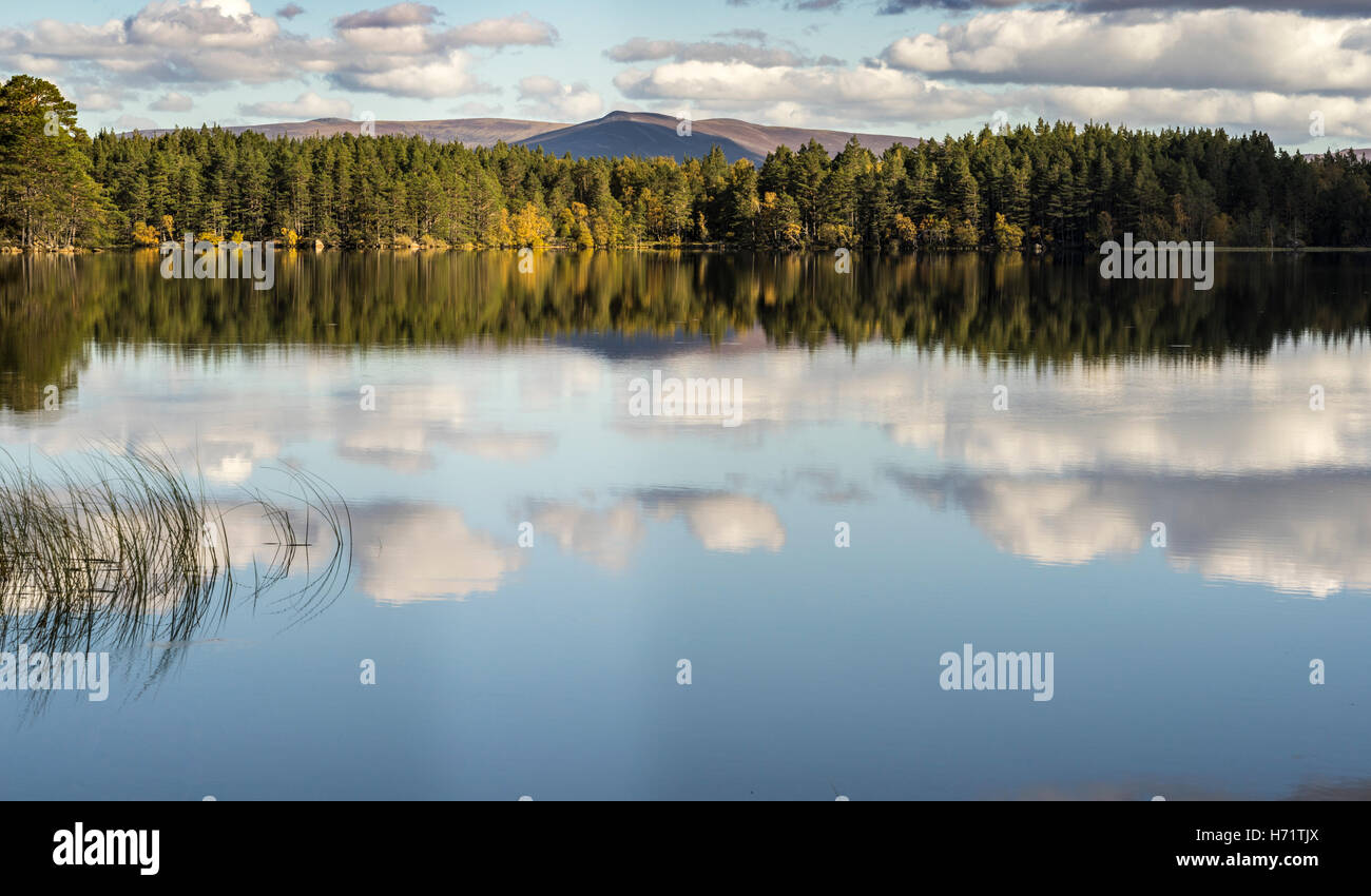 Loch Garten in the Cairngorms National Park Stock Photo - Alamy