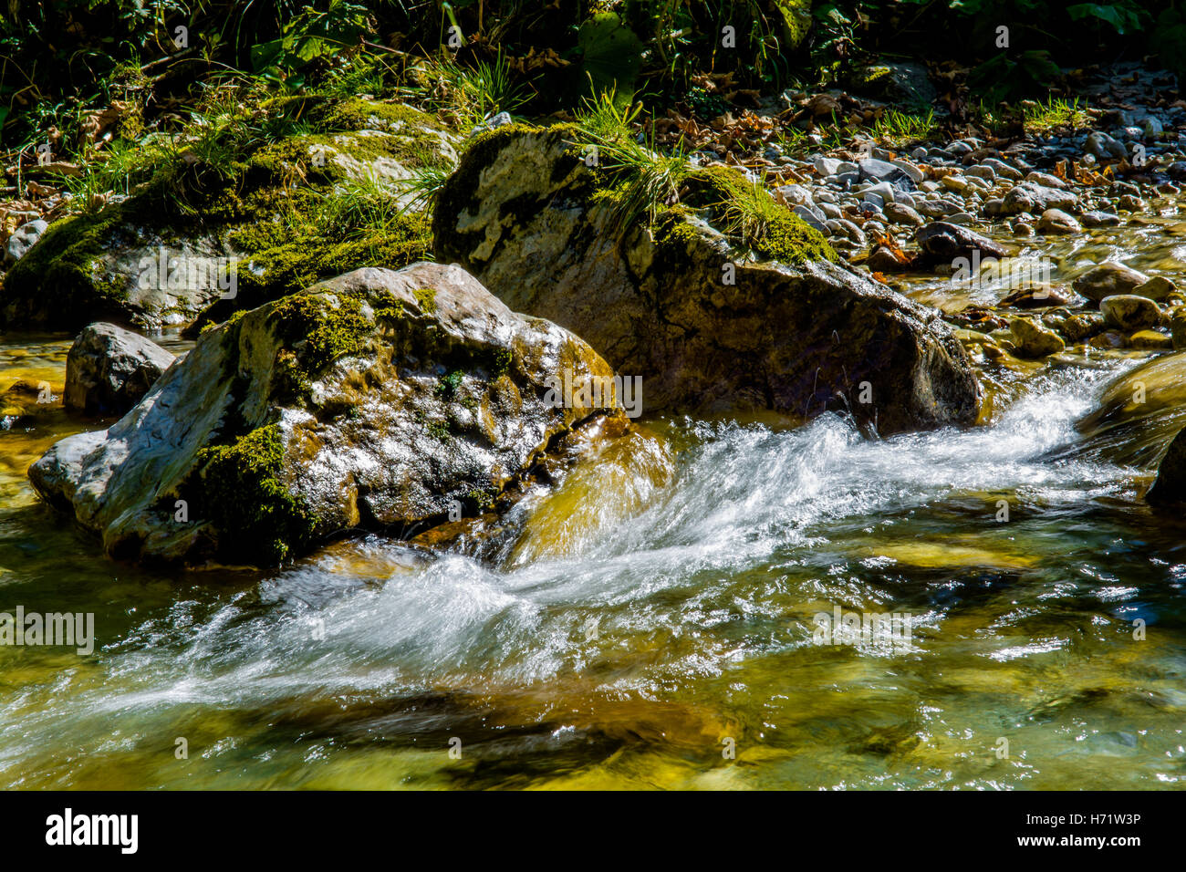 Sustainable clear ecosystem hi-res stock photography and images - Alamy