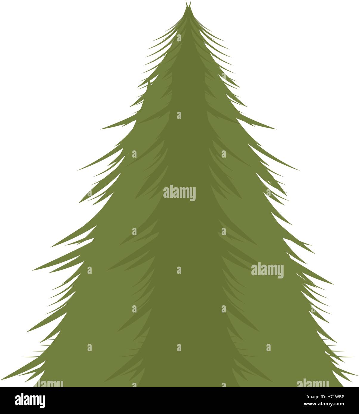 green pine tall tree icon over white background. vector illustration ...