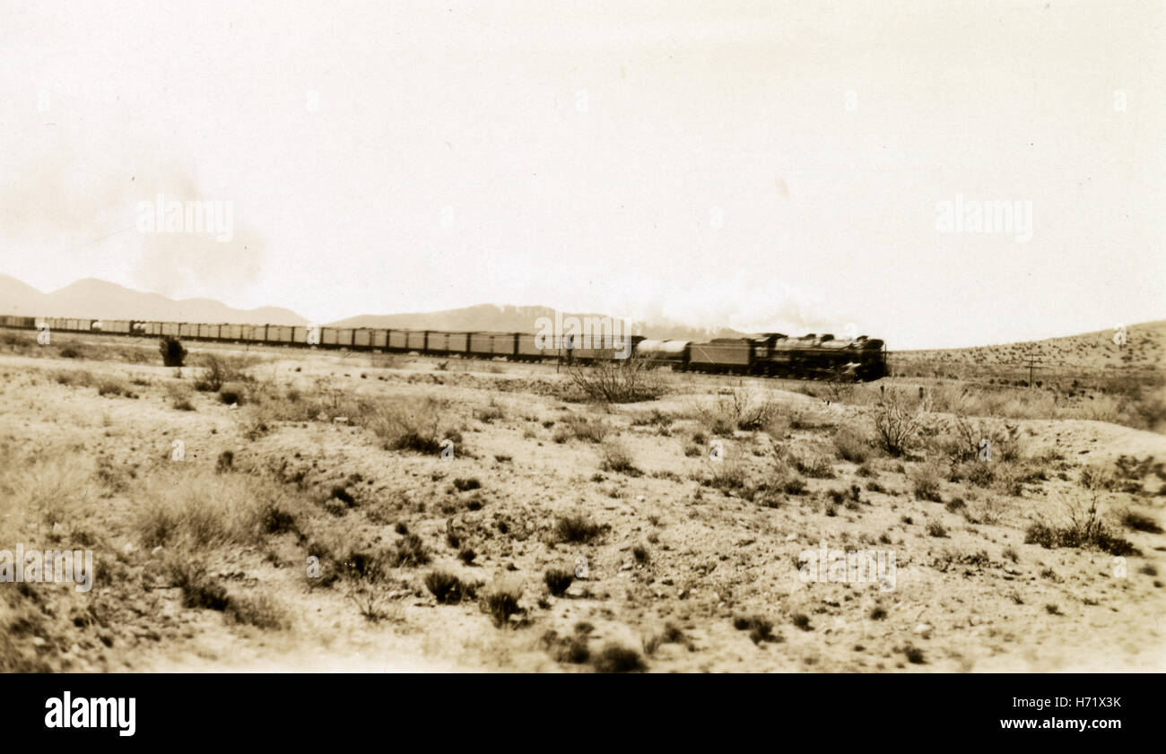 Antique c1930 photograph, freight train with many box cars in the ...