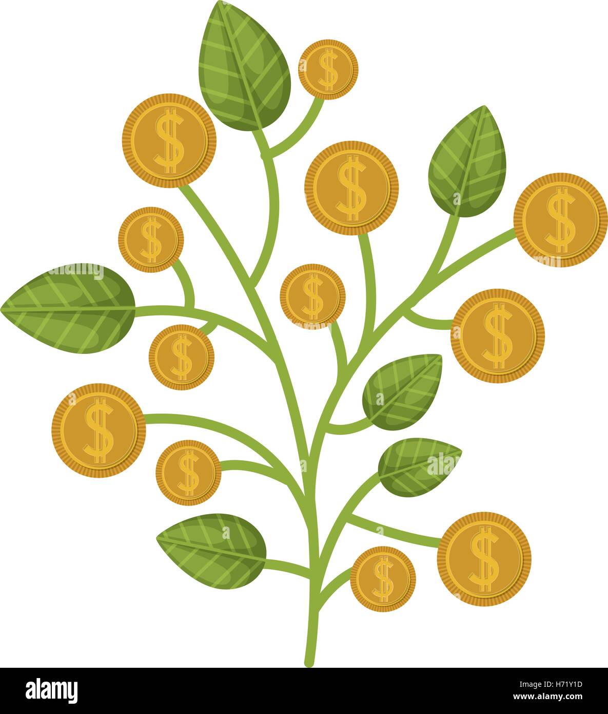 money plant with gold coins over white background. vector illustration ...