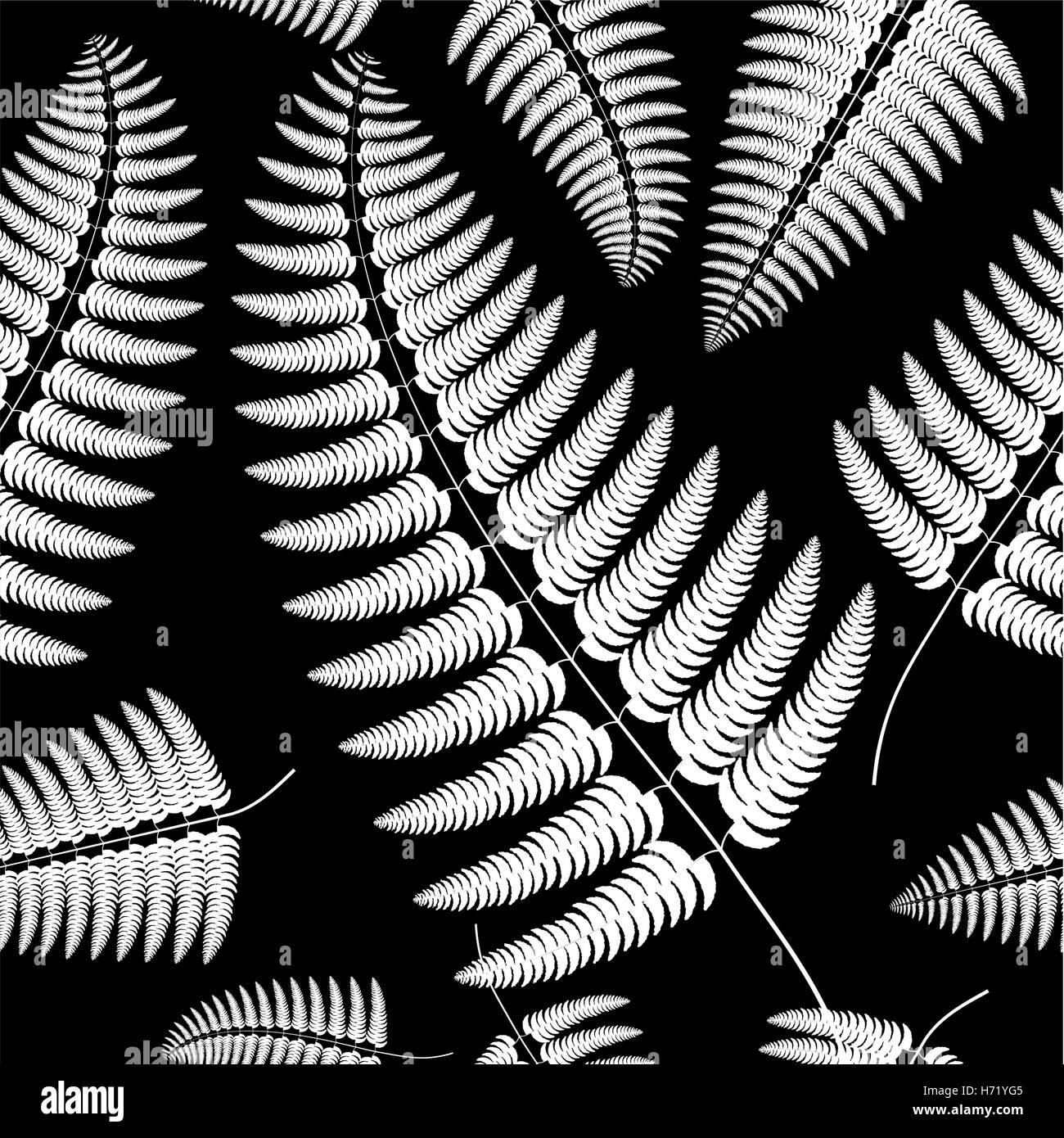 Sprig of white fern on a black background. Vector summer illustration ...