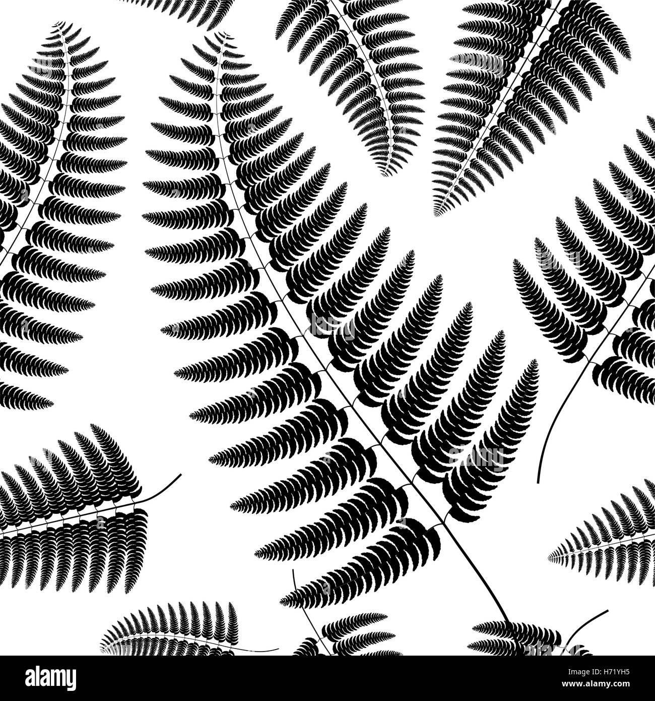 Sprig of black fern on a white background. Vector summer illustration ...