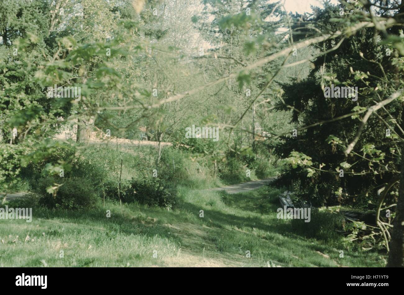 Vintage archival photograph taken in 1966 Stock Photo - Alamy