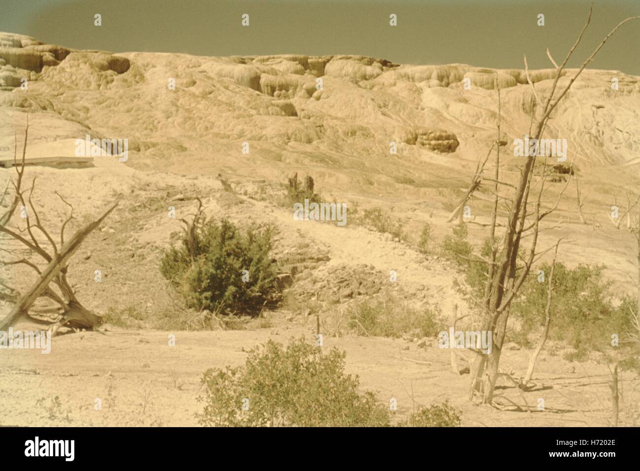 Vintage archival photograph taken in 1965 Stock Photo - Alamy