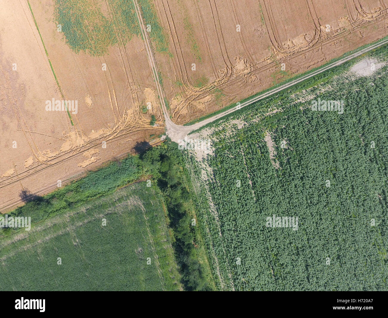Crossroads paved roads through the fields. View from above Stock Photo ...