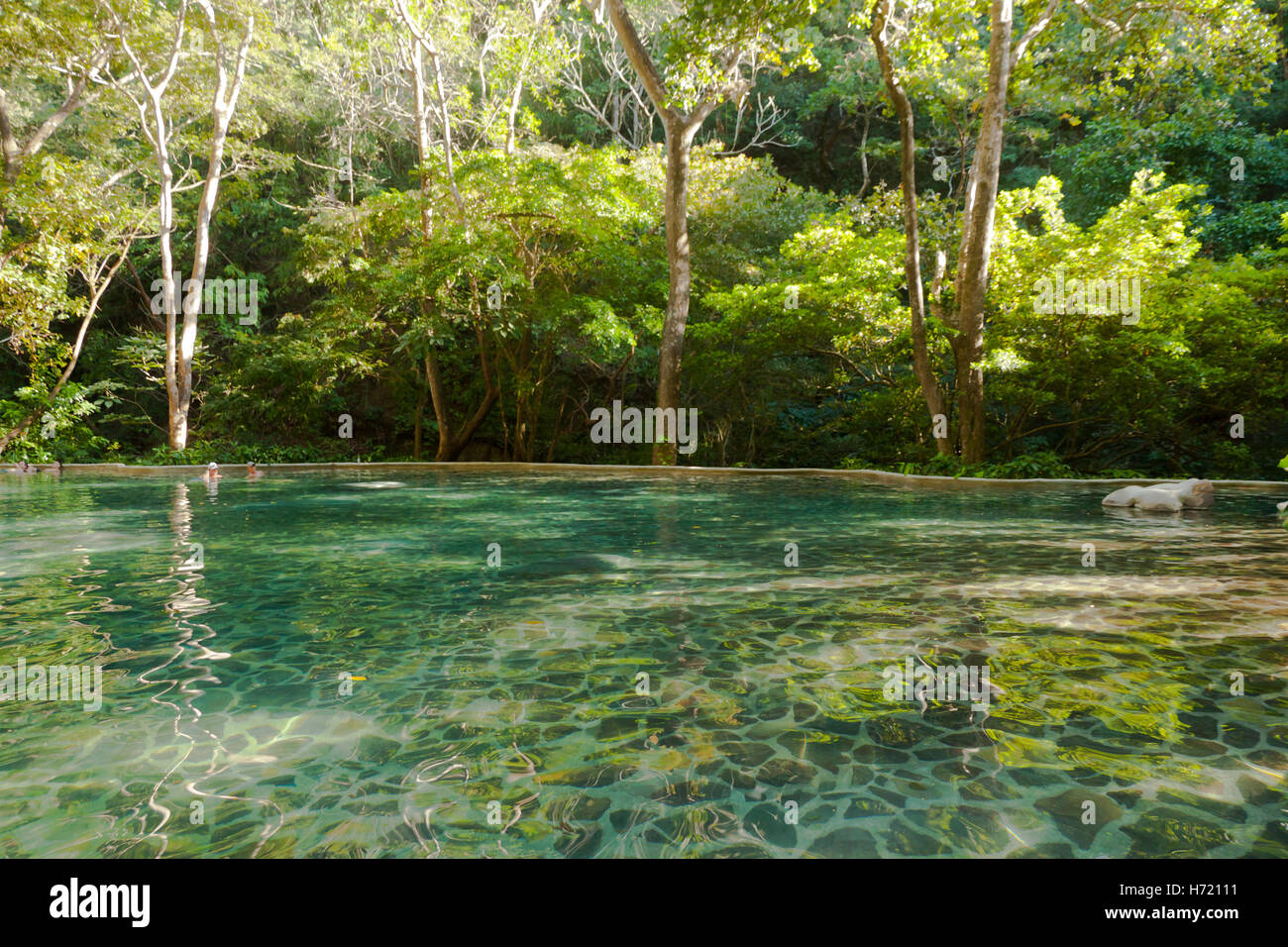 Jungle swimming pool hi-res stock photography and images - Alamy