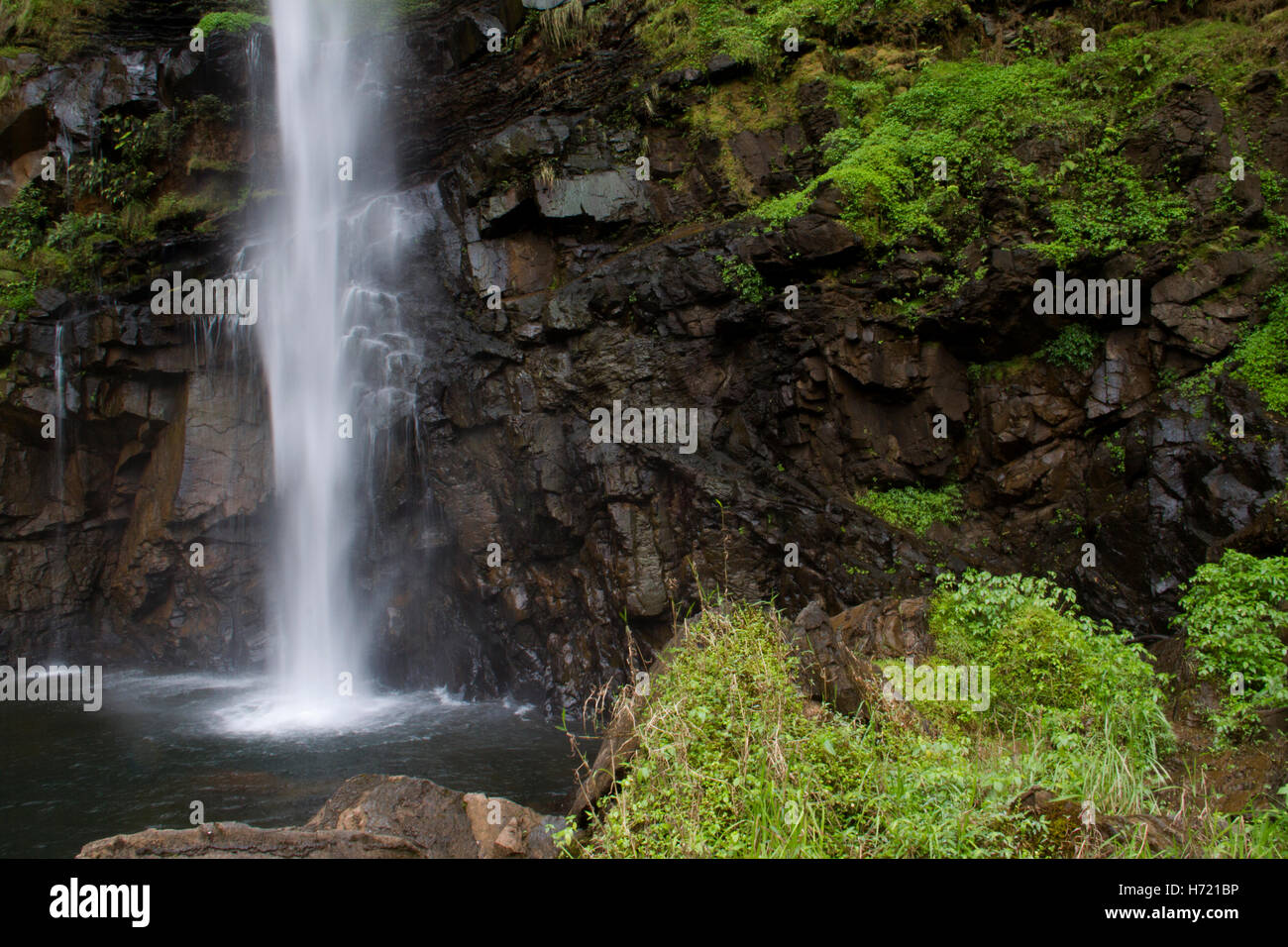 South africa mpumalanga waterfall hi-res stock photography and images ...