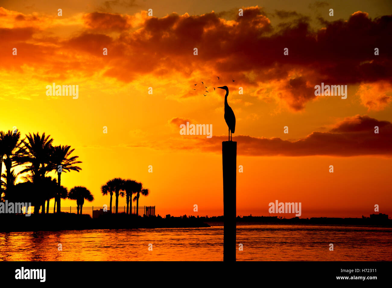 Florida beach sunsets hi-res stock photography and images - Alamy