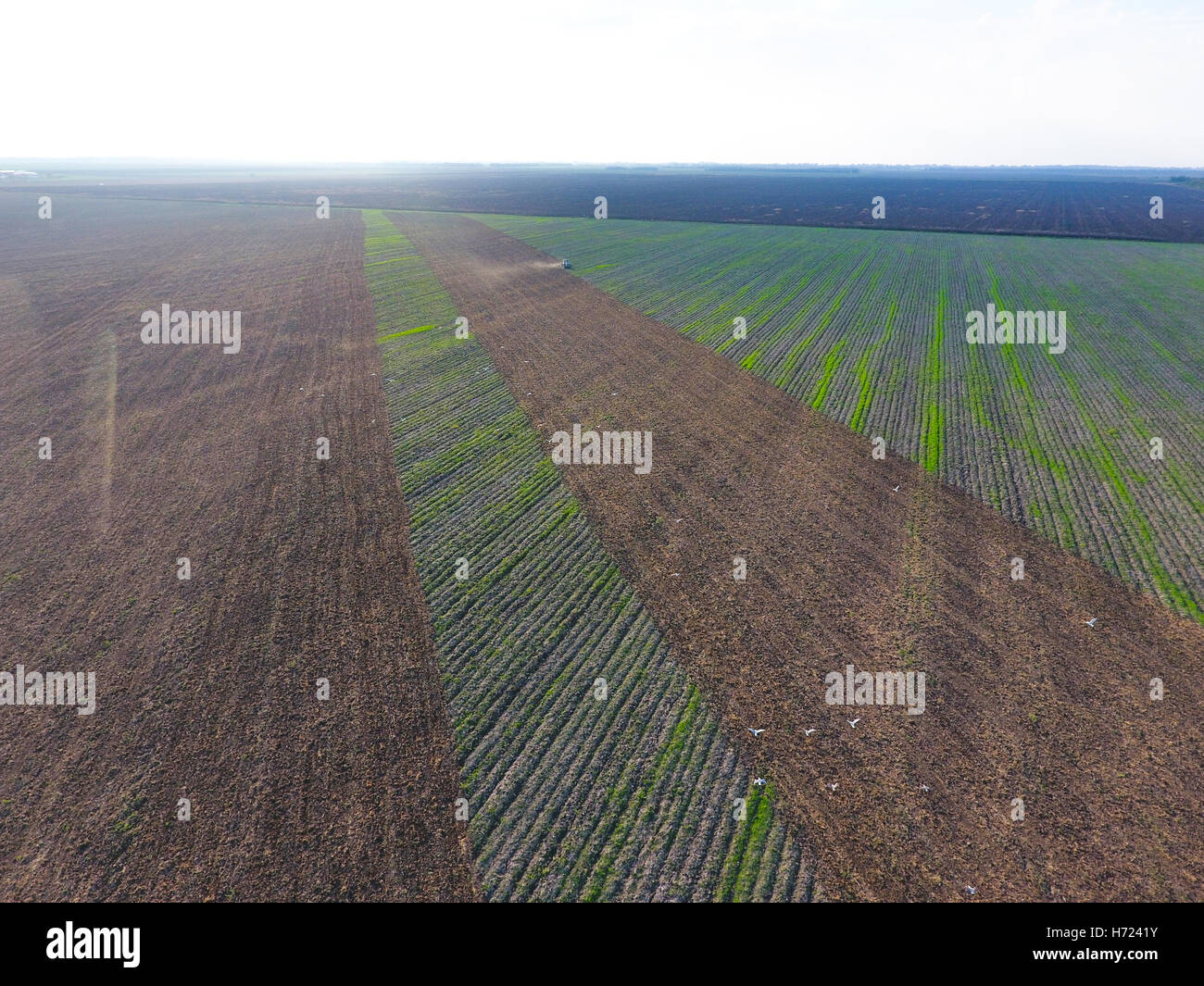 Farm land brochure hi-res stock photography and images - Alamy