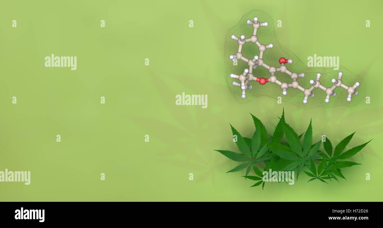 Cannabis , marijuana , THC, molecule and leaves against green ...