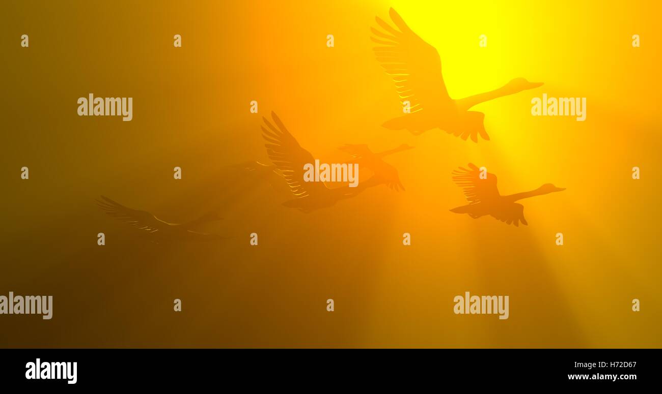 Birds, geese flying in glowing rays of golden orange yellow sun light ...