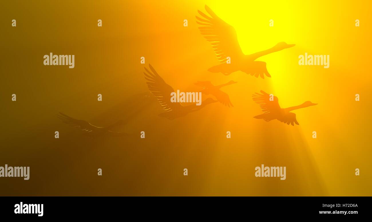 Birds, geese flying in glowing rays of golden orange yellow sun light ...