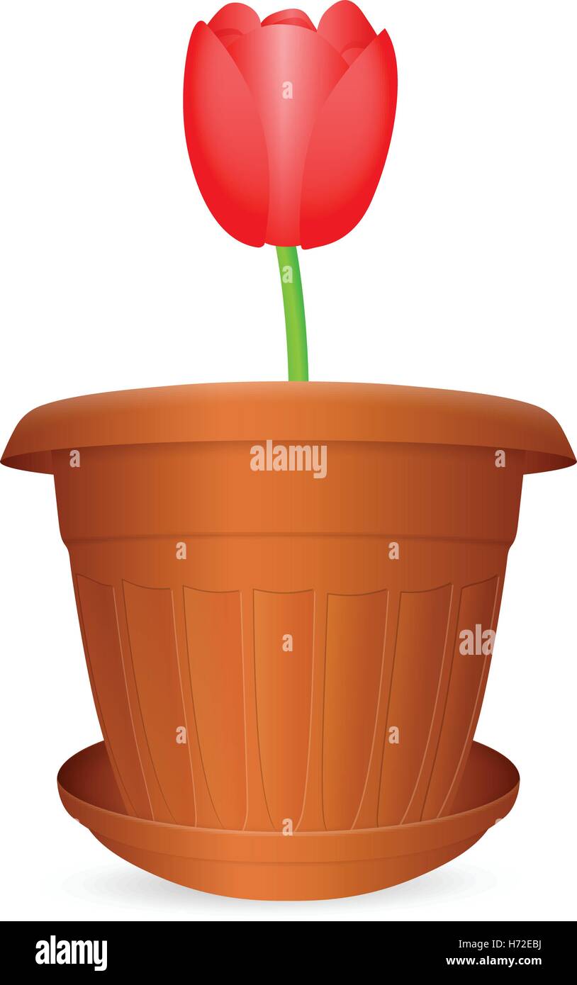 Flowerpot tulip on a white background. Vector illustration Stock Vector ...