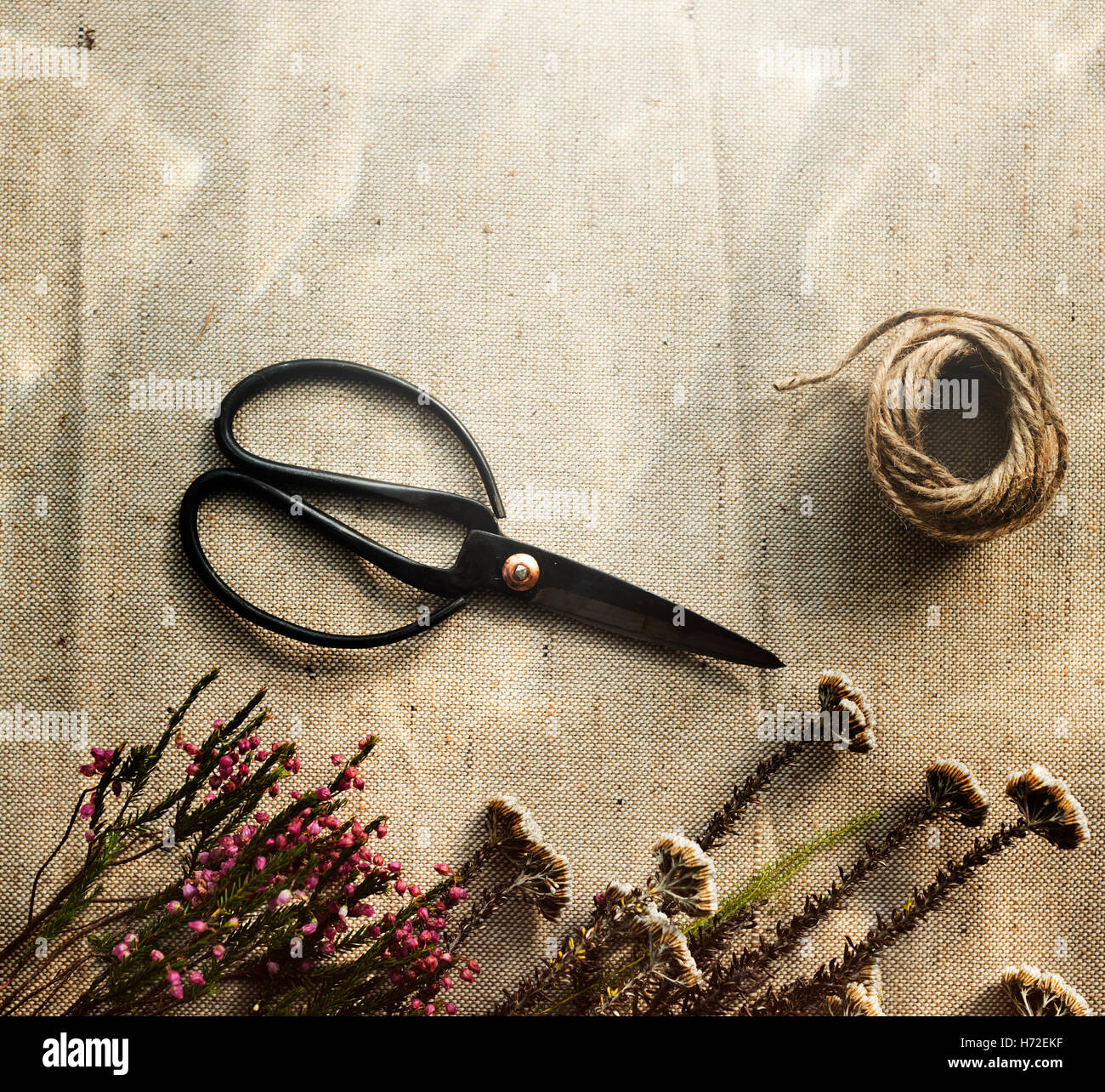 Floral Florist Flower Adorable Style Bouquet Bloom Concept Stock Photo ...