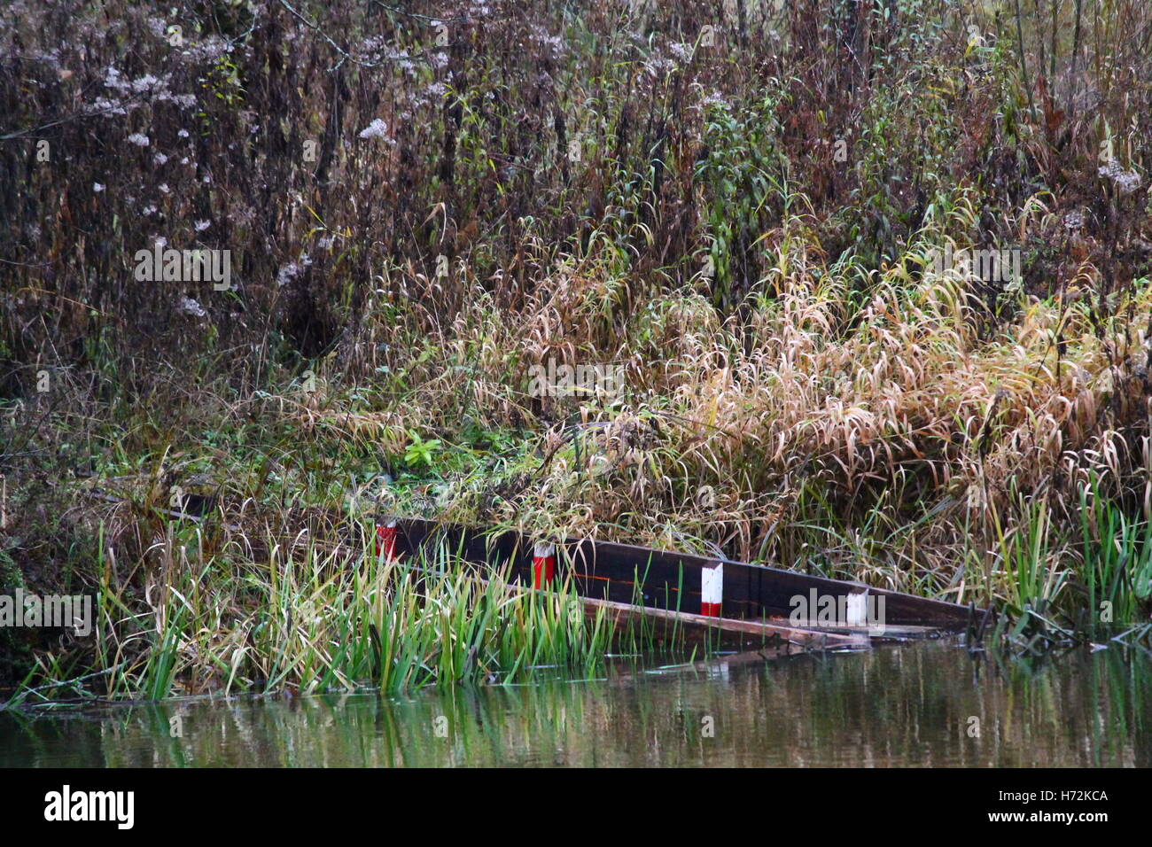 Shell canoe hi-res stock photography and images - Alamy