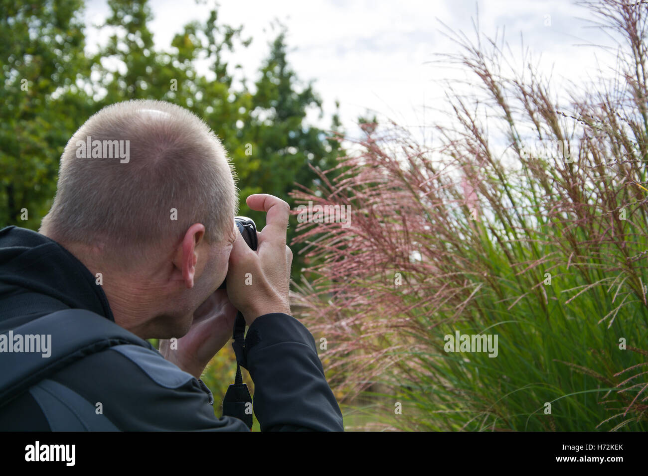Dslr nature photo hi-res stock photography and images - Alamy