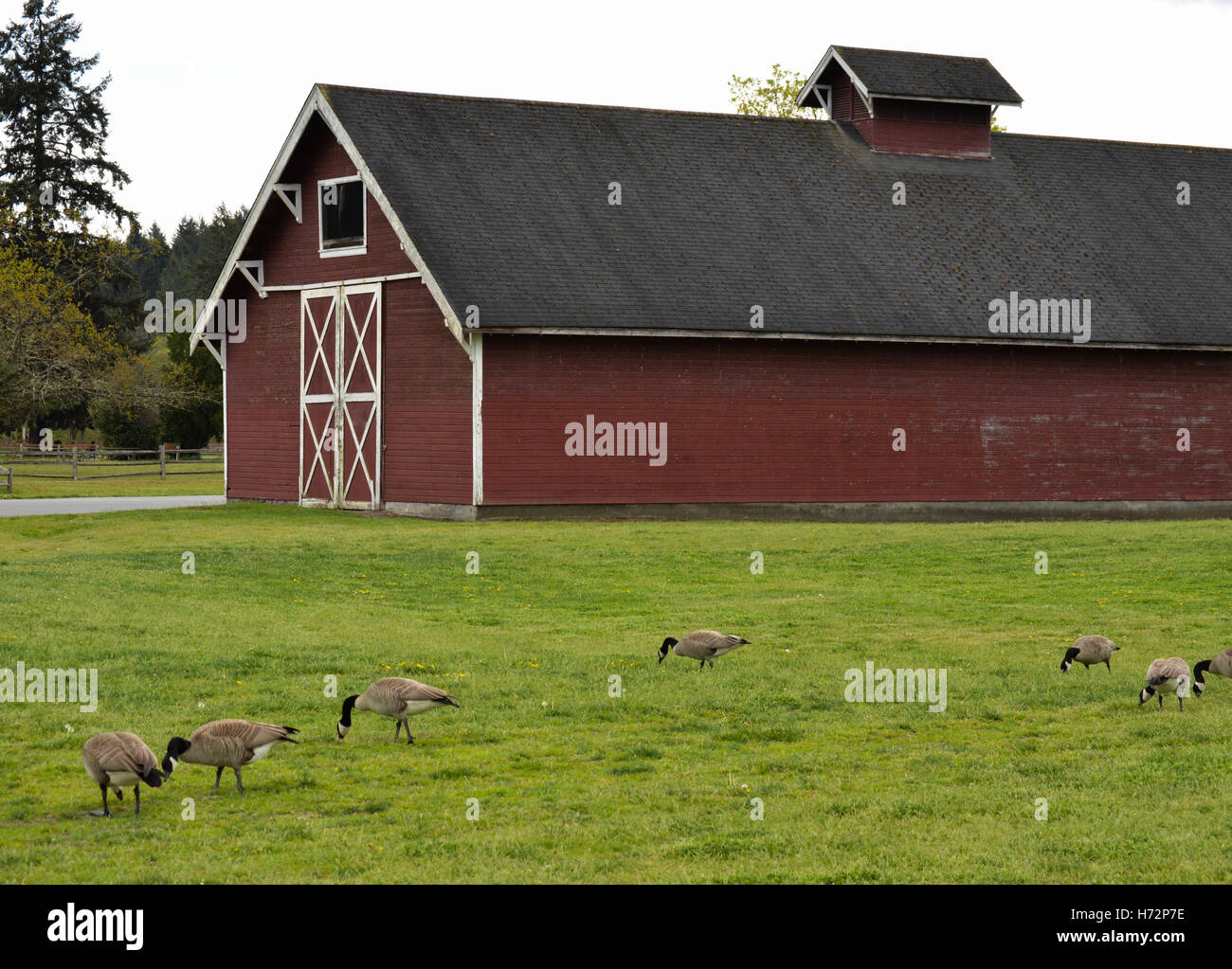 Red Canadian Barn High Resolution Stock Photography and Images - Alamy