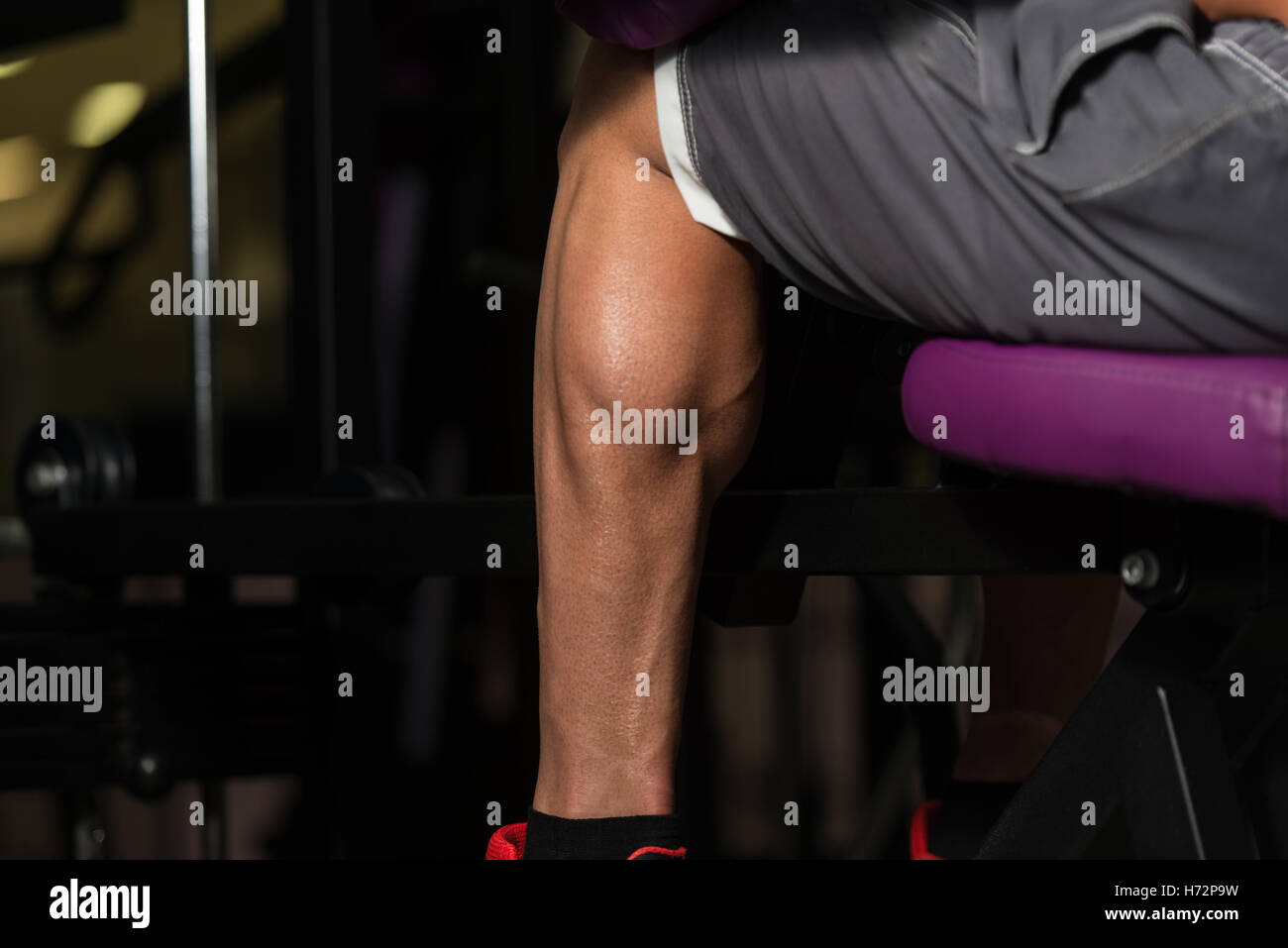 Calf muscle bodybuilder body hi-res stock photography and images - Alamy