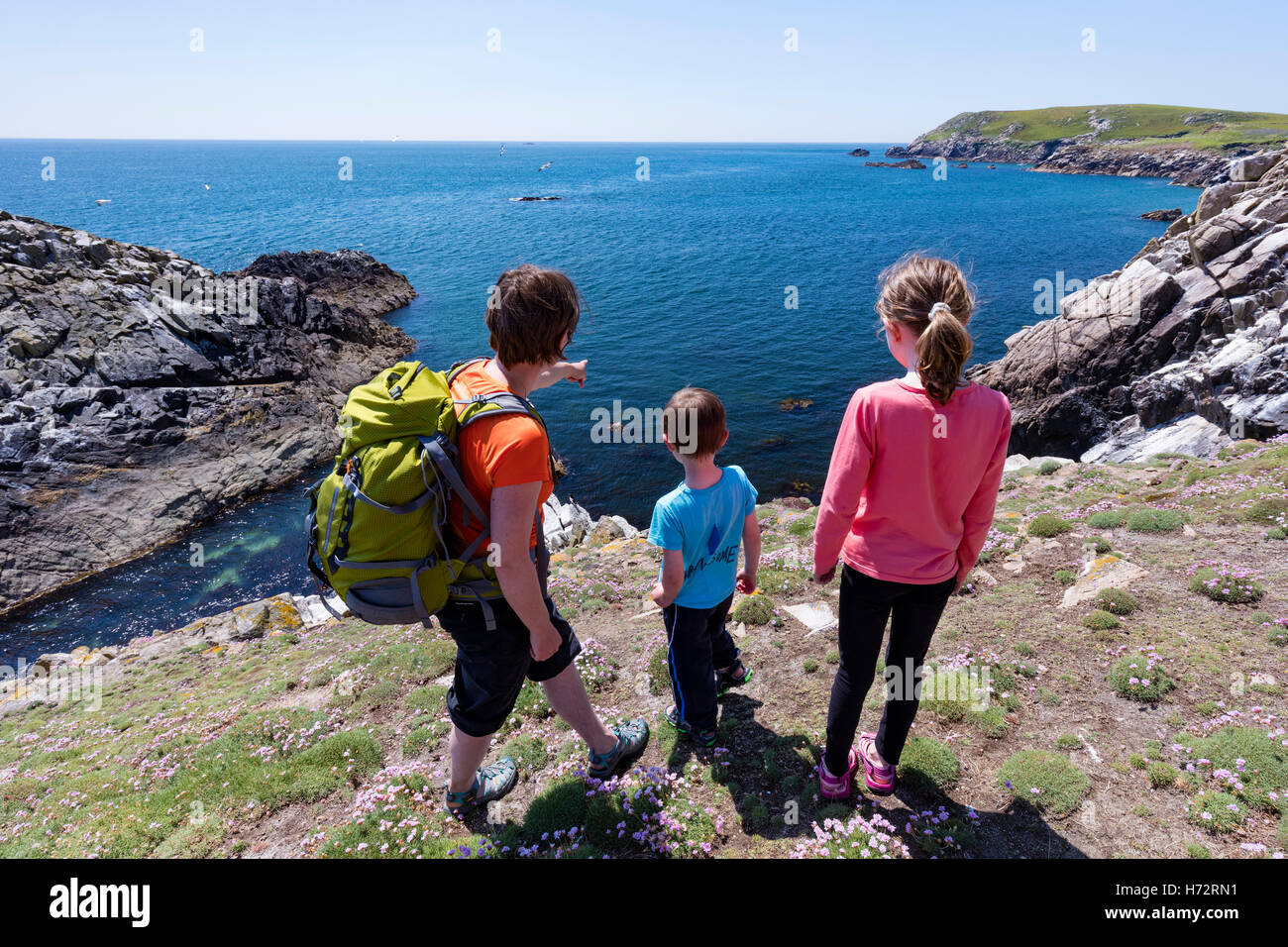 Birdwatching family on Great Saltee Island, County Wexford, Ireland ...