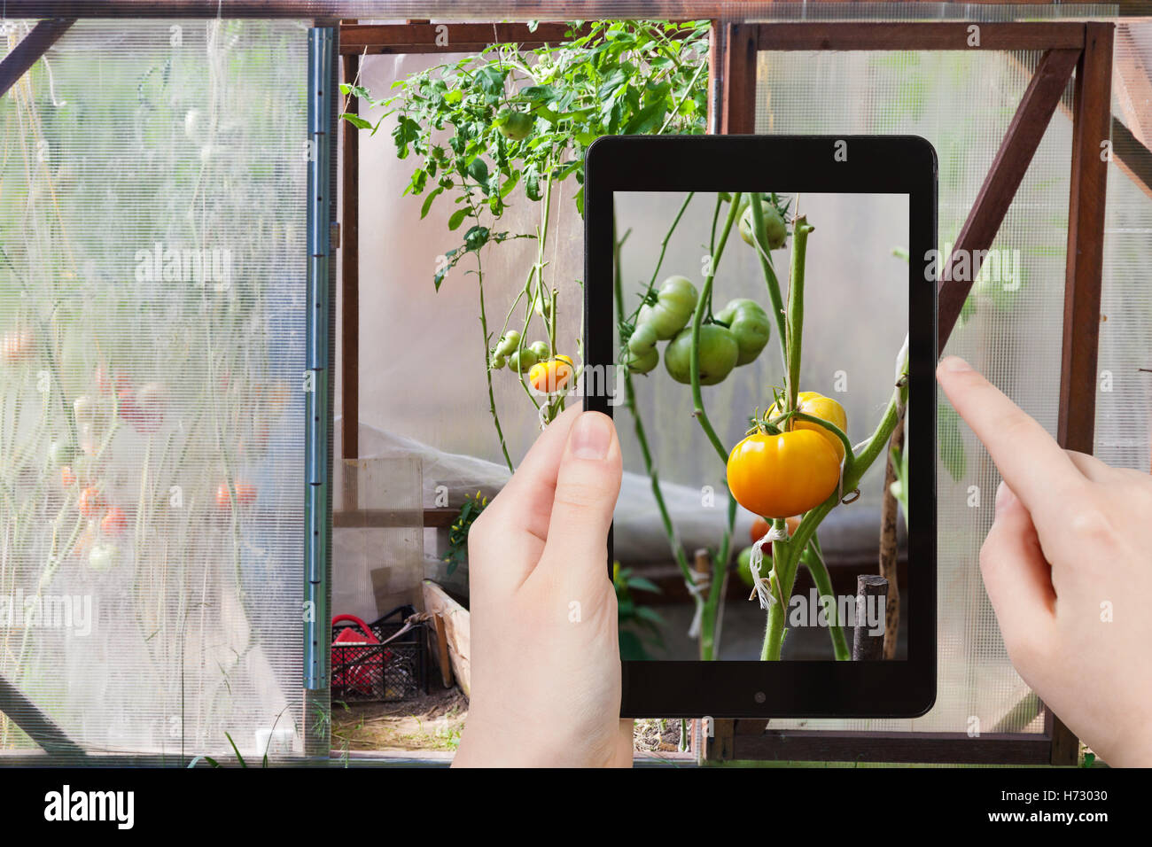 telephone phone agrarian agricultural inside garden plant cultivate ...