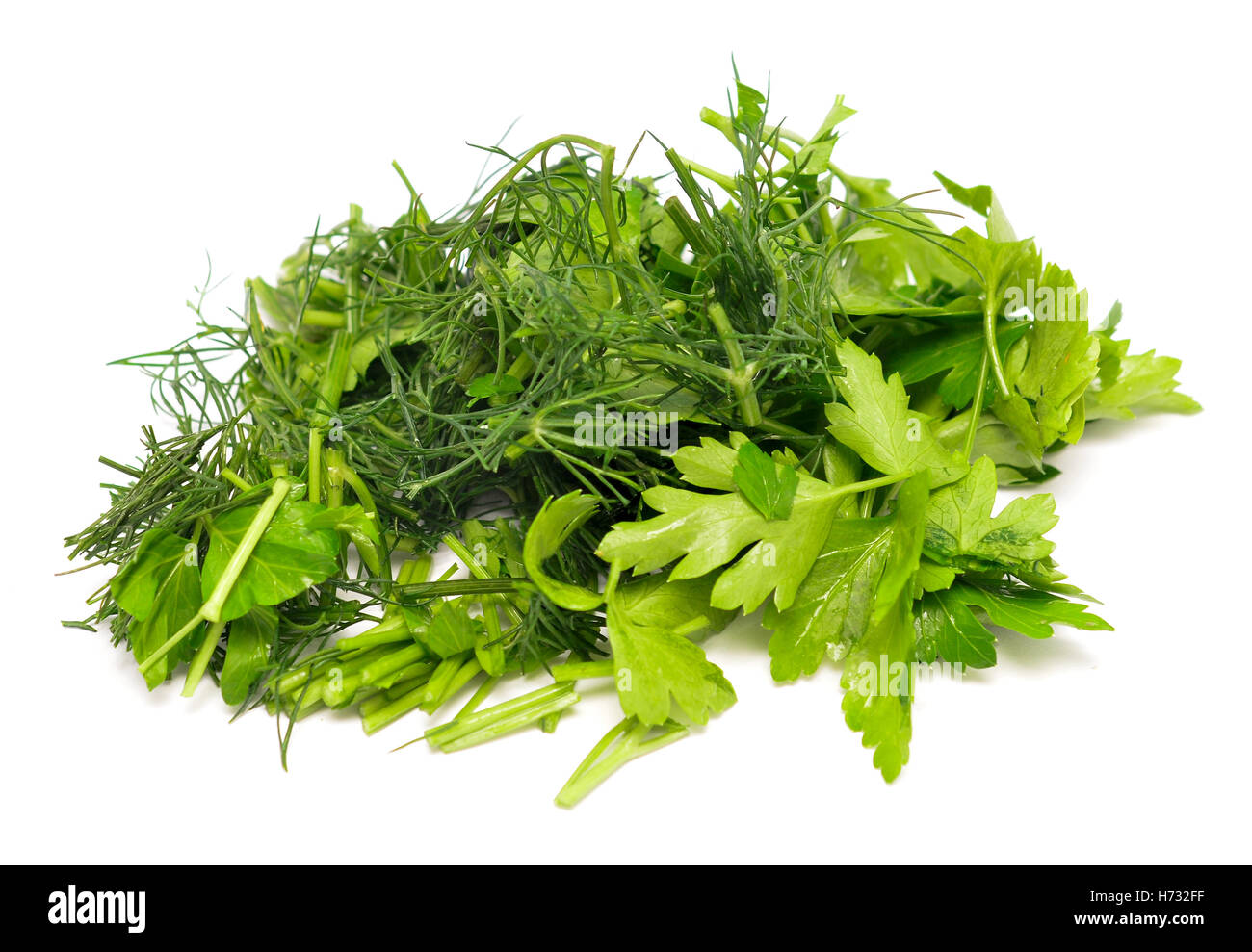 dill and parsley isolated on white background Stock Photo - Alamy