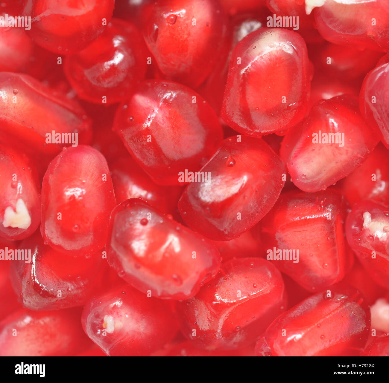 Exploding fruit seeds hi-res stock photography and images - Alamy
