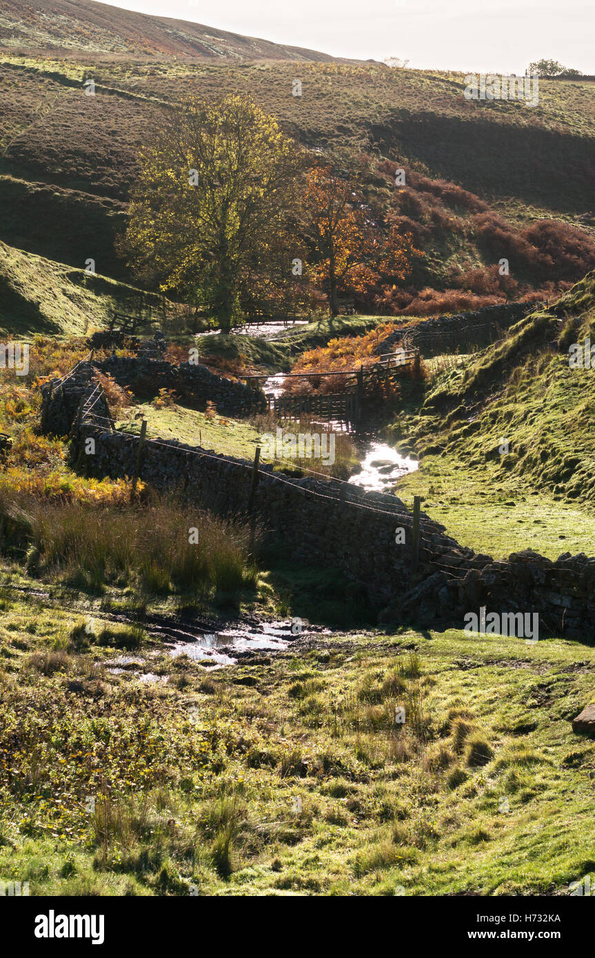 Stanhope burn hi-res stock photography and images - Alamy