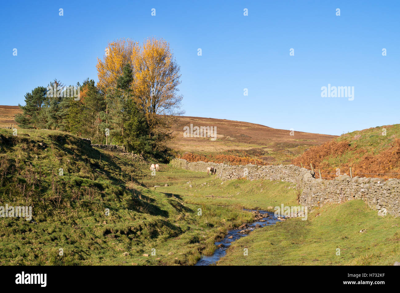 Stanhope burn hi-res stock photography and images - Alamy