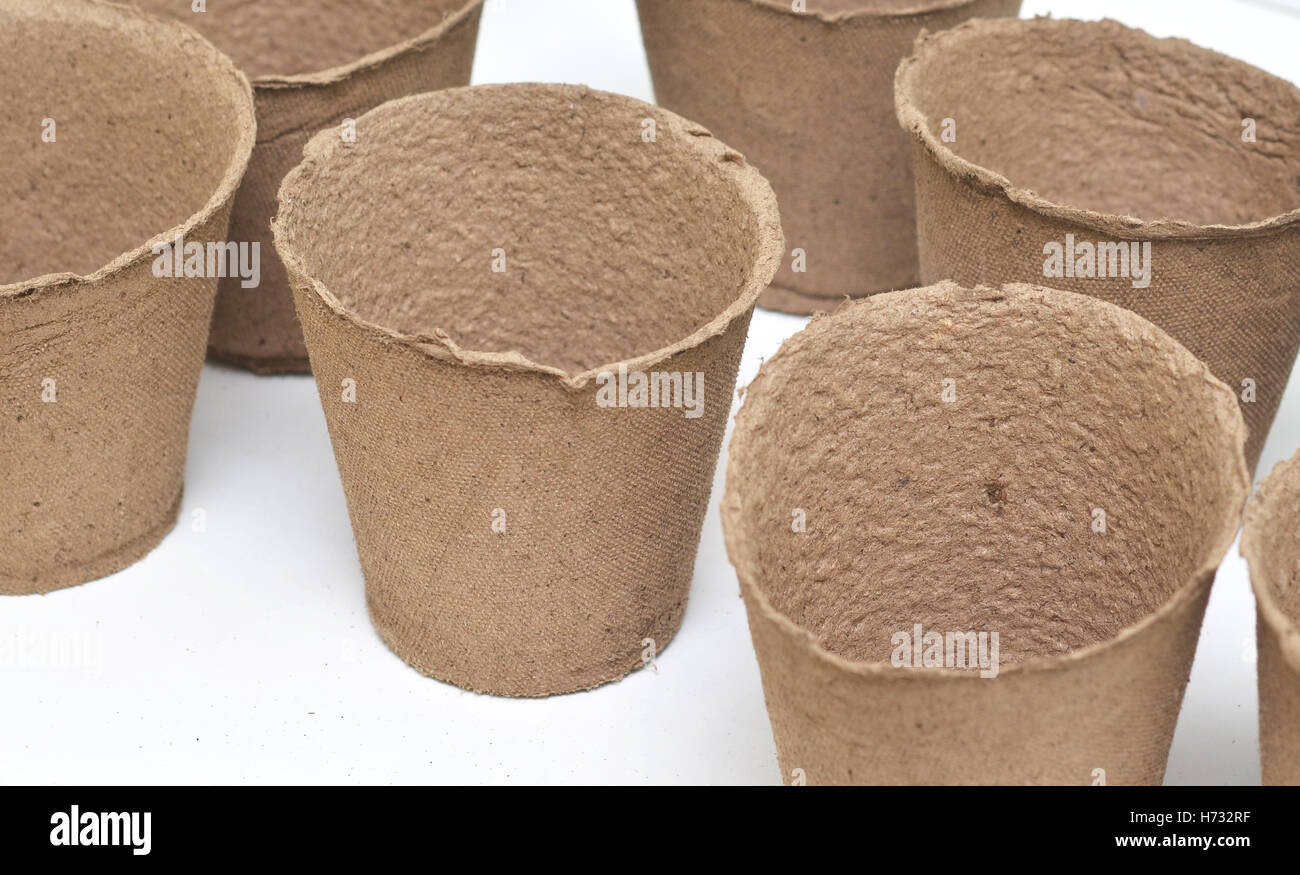 Peat pots for growing seedlings isolated on white background Stock ...