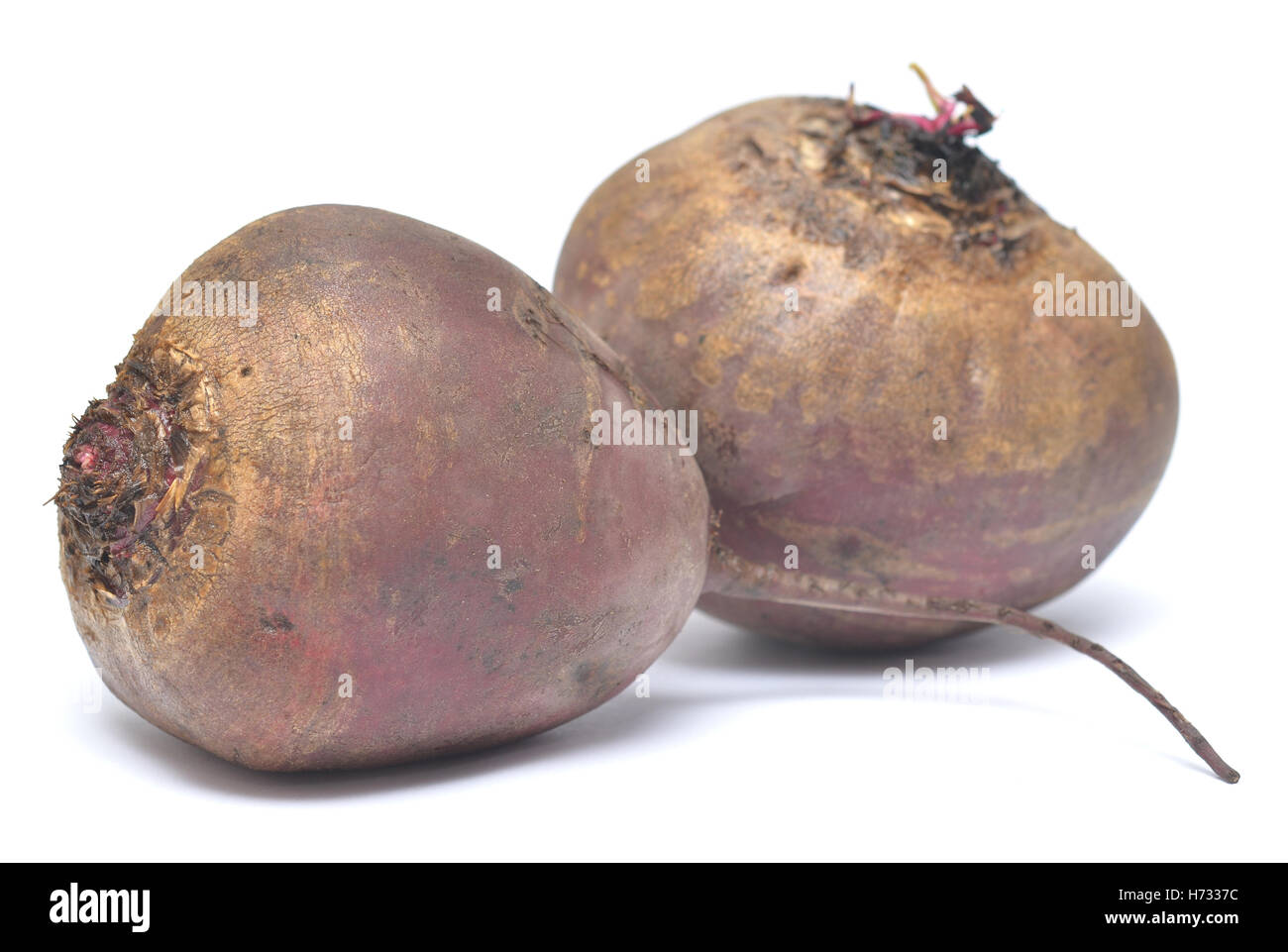 two beats isolated on white background Stock Photo - Alamy