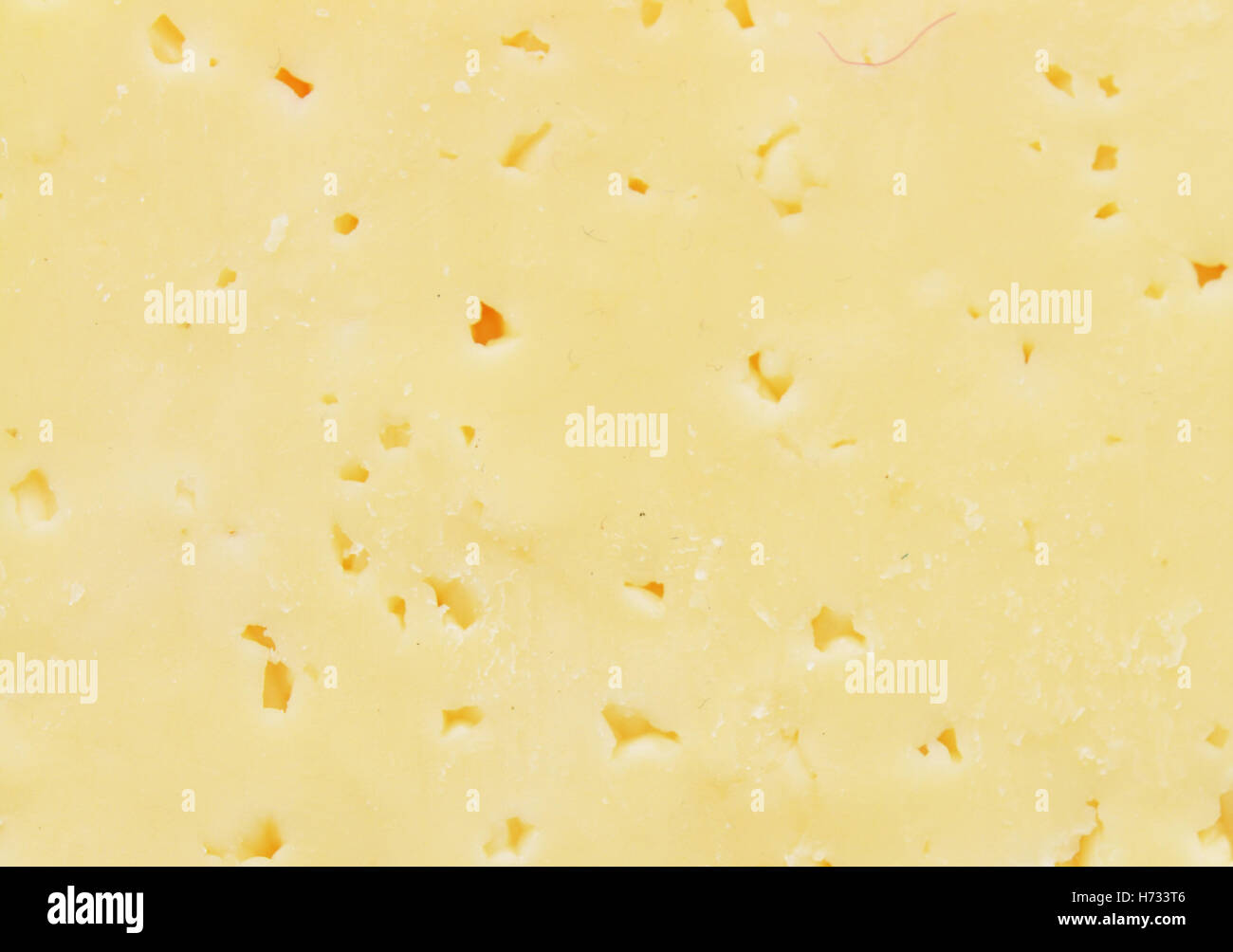 close up of cheese background Stock Photo - Alamy
