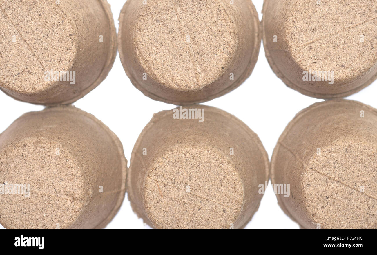 peat pots isolated on white background Stock Photo - Alamy