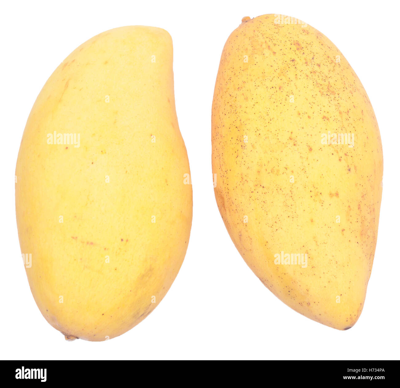 ripe mangoes isolated on white background Stock Photo - Alamy