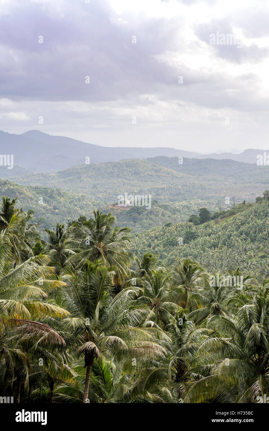 Sri Lanka landscape Stock Photo - Alamy